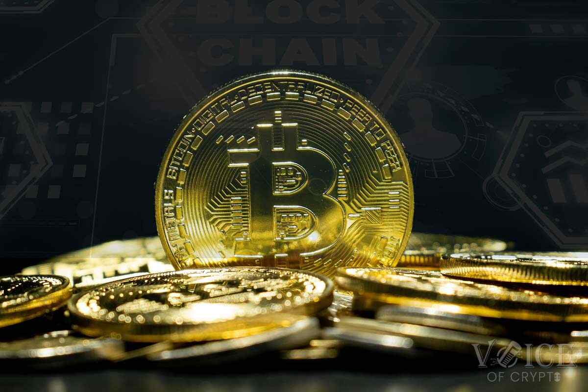 Can Bitcoin Creator, Satoshi Nakamoto Could Be A Woman? - Voice of Crypto